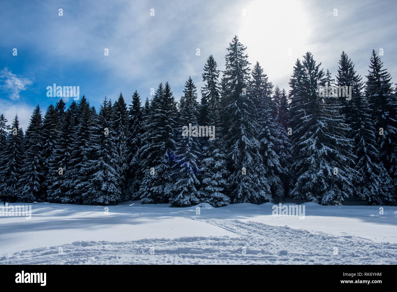 Sarajevo, Bosnia and Herzegovina - 9 February - Mount Igman near ...
