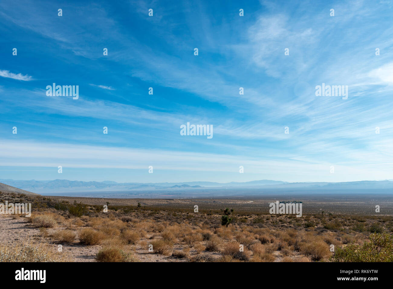 Dead brush hi-res stock photography and images - Alamy
