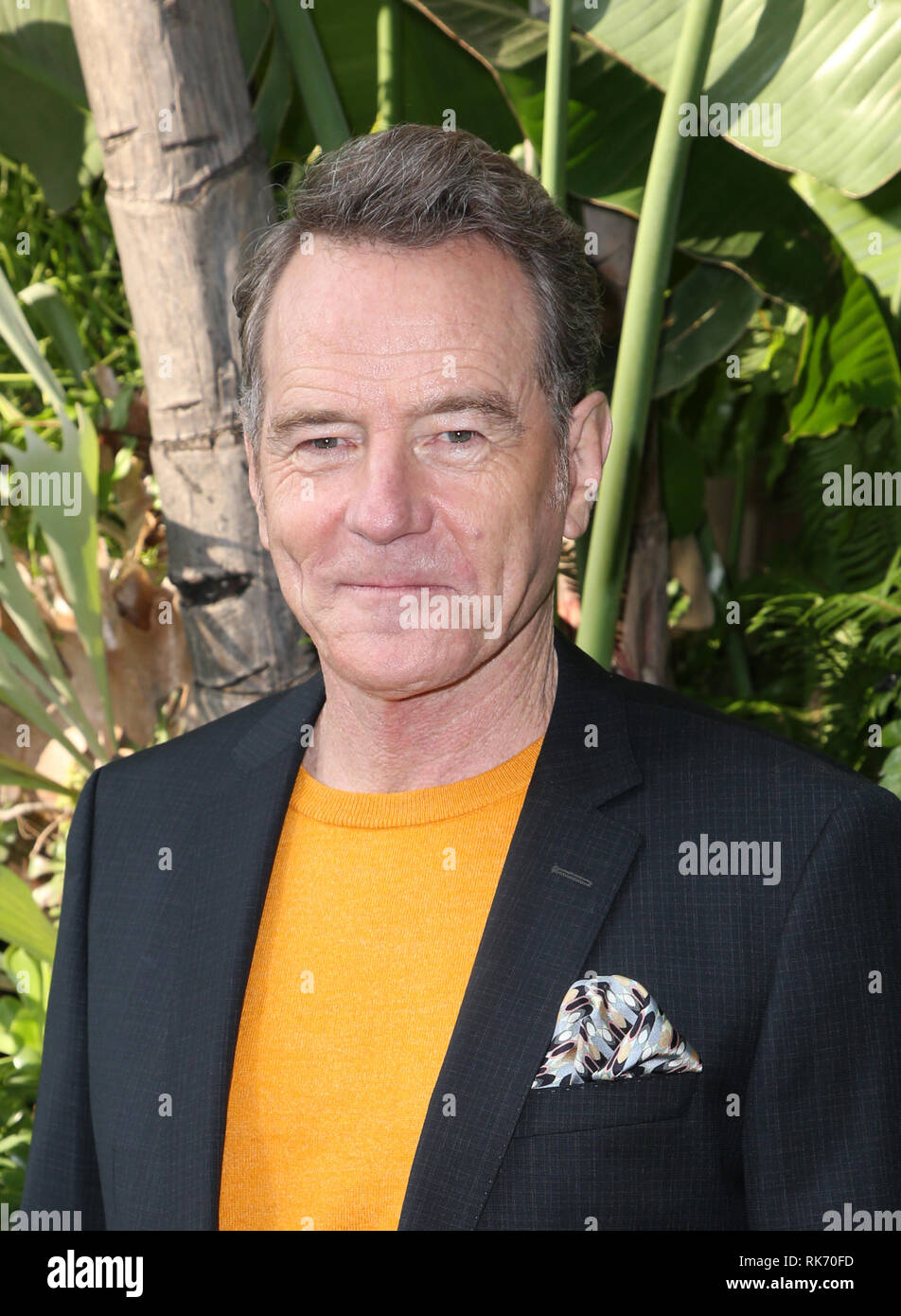 The cast of The Upside attend a photo call in Los Angeles Featuring ...