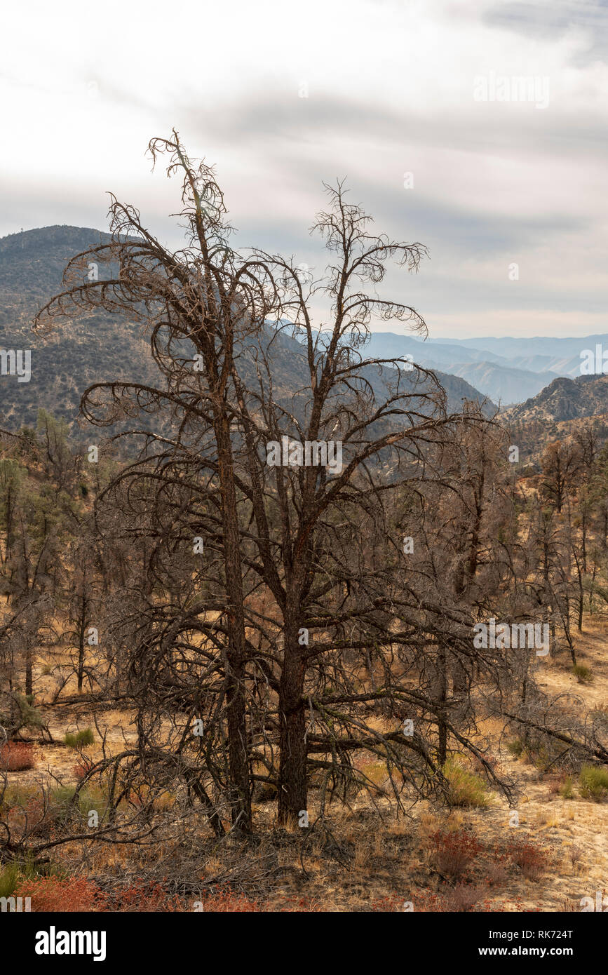 Dead mountains wilderness hi-res stock photography and images - Alamy