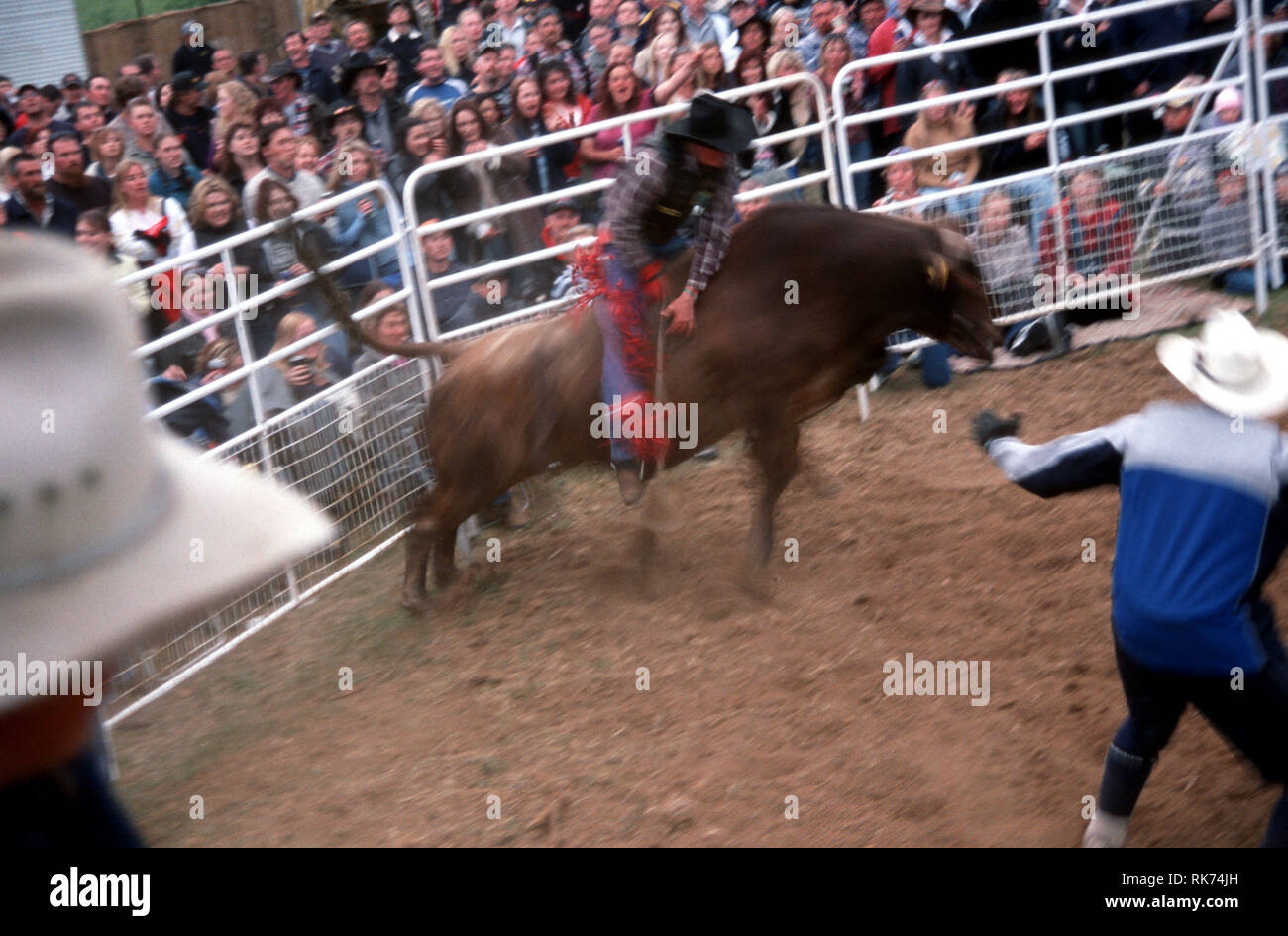 "Some bulls aren't happy until they've squashed you" says rider Graeme ...