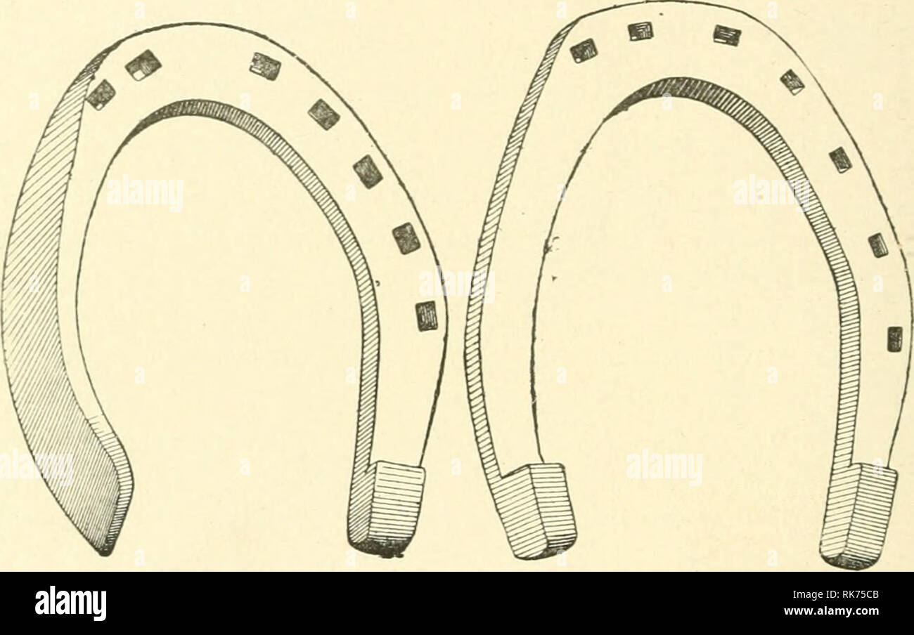 . The art of horse-shoeing : a manual for farriers. Horseshoeing. 104 ...