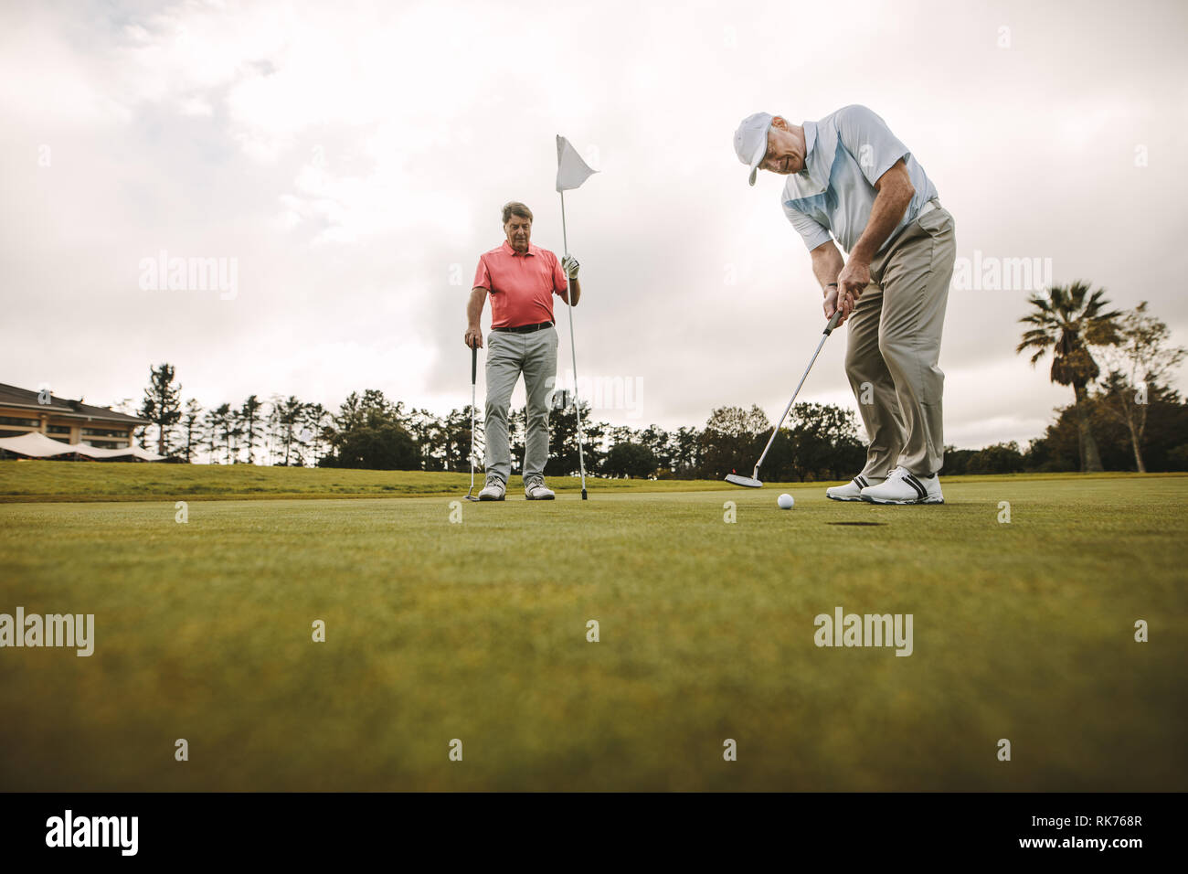 Low angle view of senior golfer on putting green about to take the shot ...