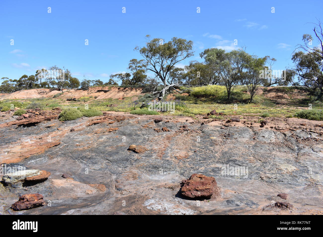 remnants of coal Coalseam conservation park Stock Photo - Alamy