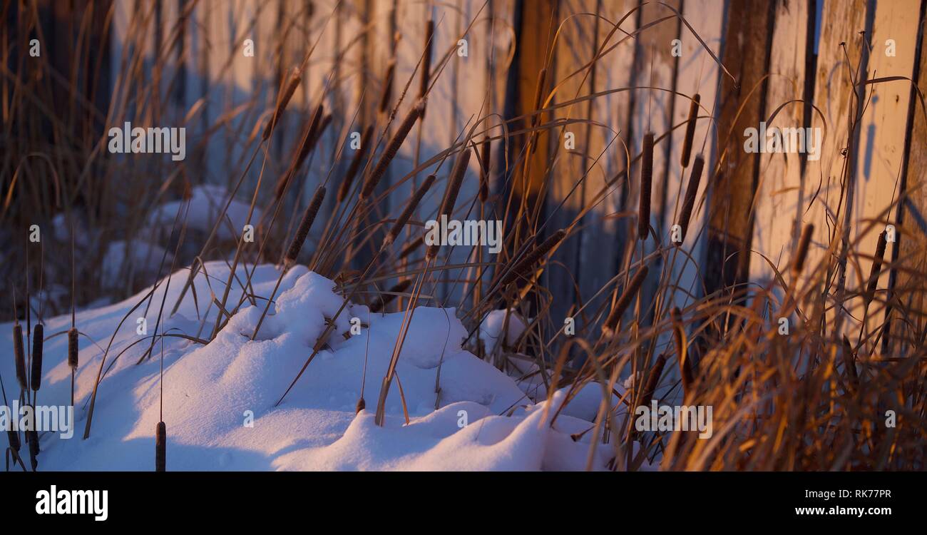 Old Rustic Iron Bridge Bridge Stock Photo - Alamy
