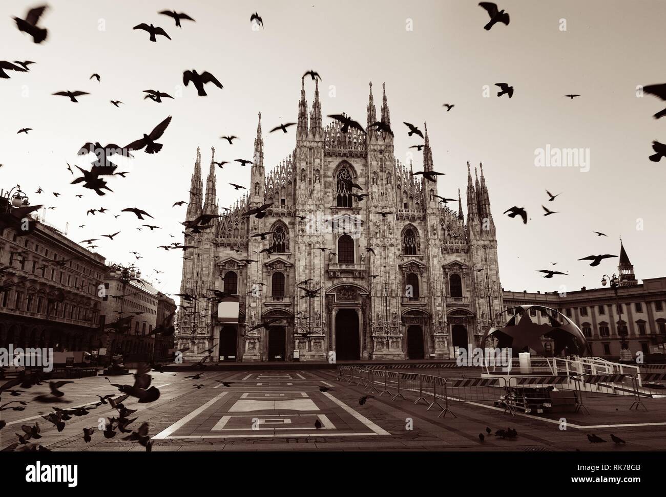 Pigeon at Cathedral Square or Piazza del Duomo in Italian, the center ...