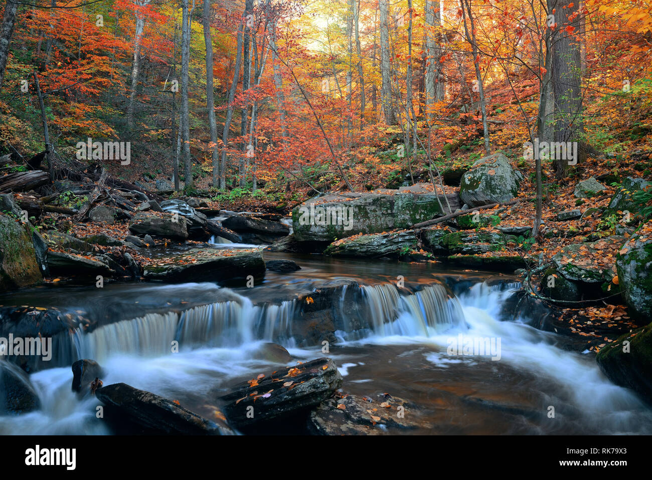 Autumn waterfalls in park with colorful foliage Stock Photo - Alamy