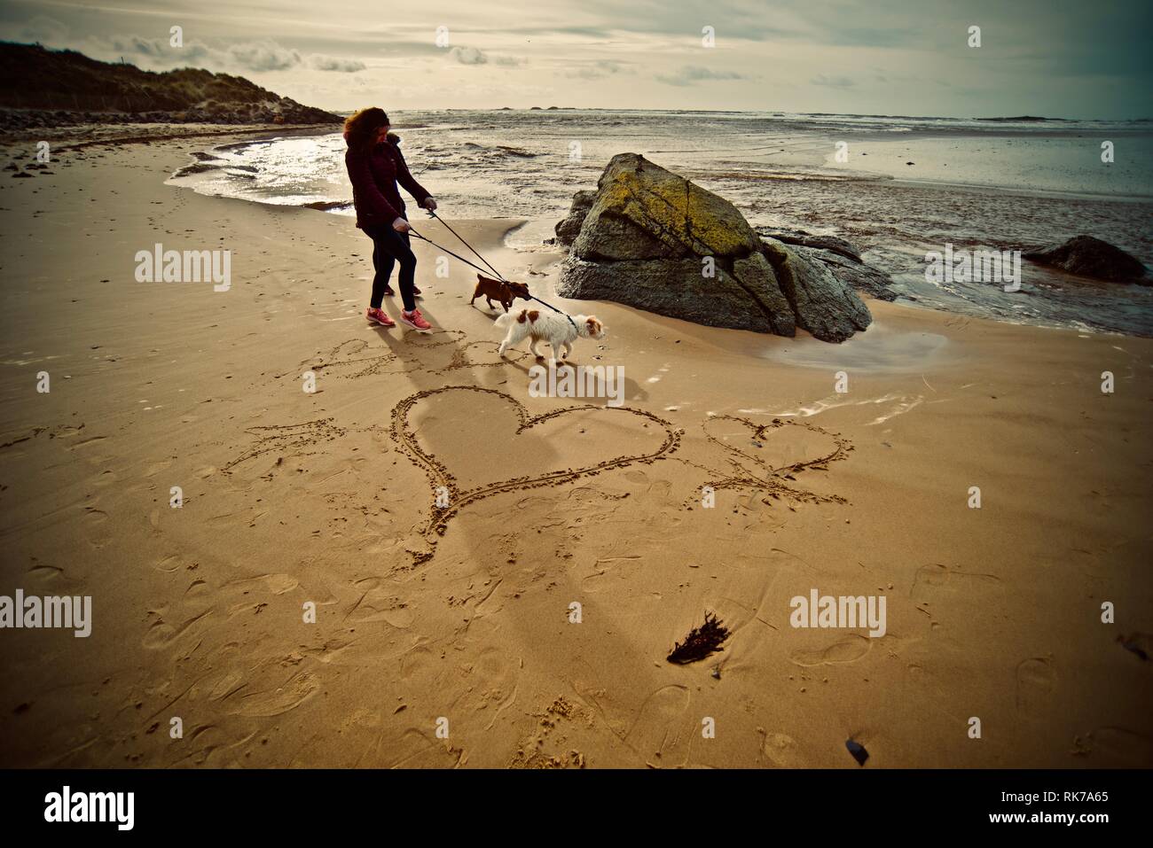 Two walkers with two dogs walk past a heart drawn in the sand of a ...