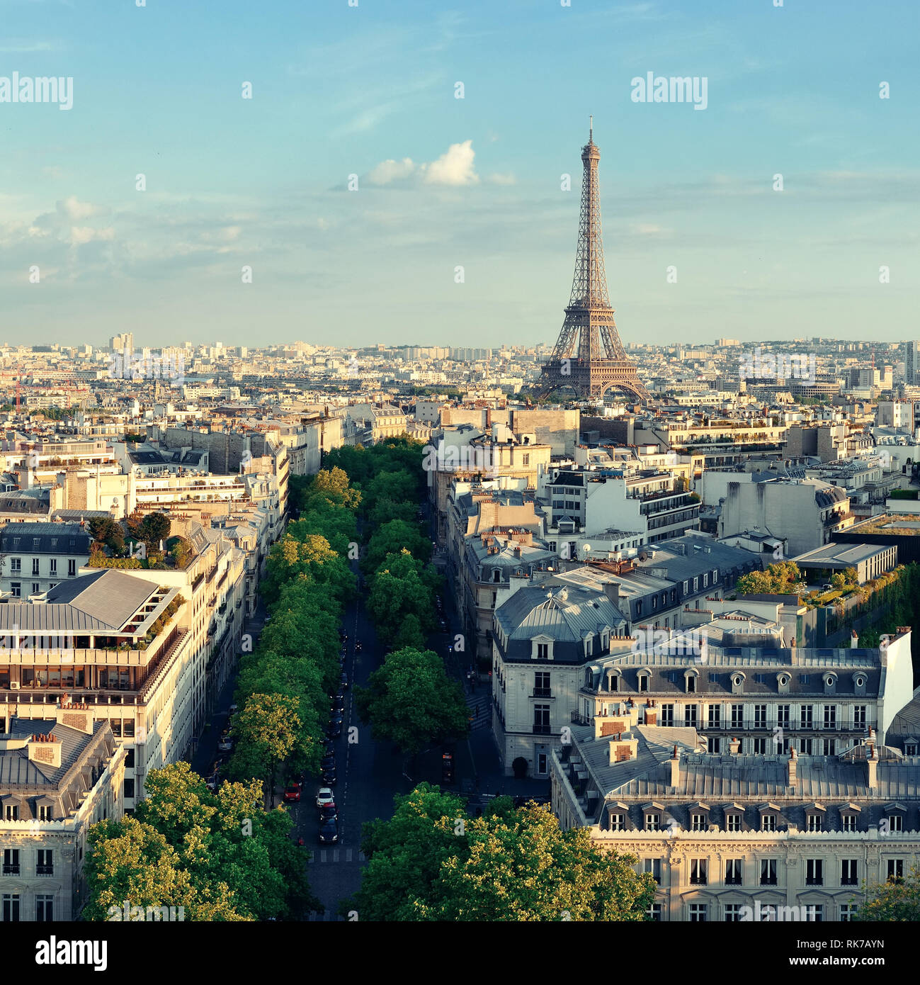 Paris rooftop view skyline and Eiffel Tower in France Stock Photo - Alamy