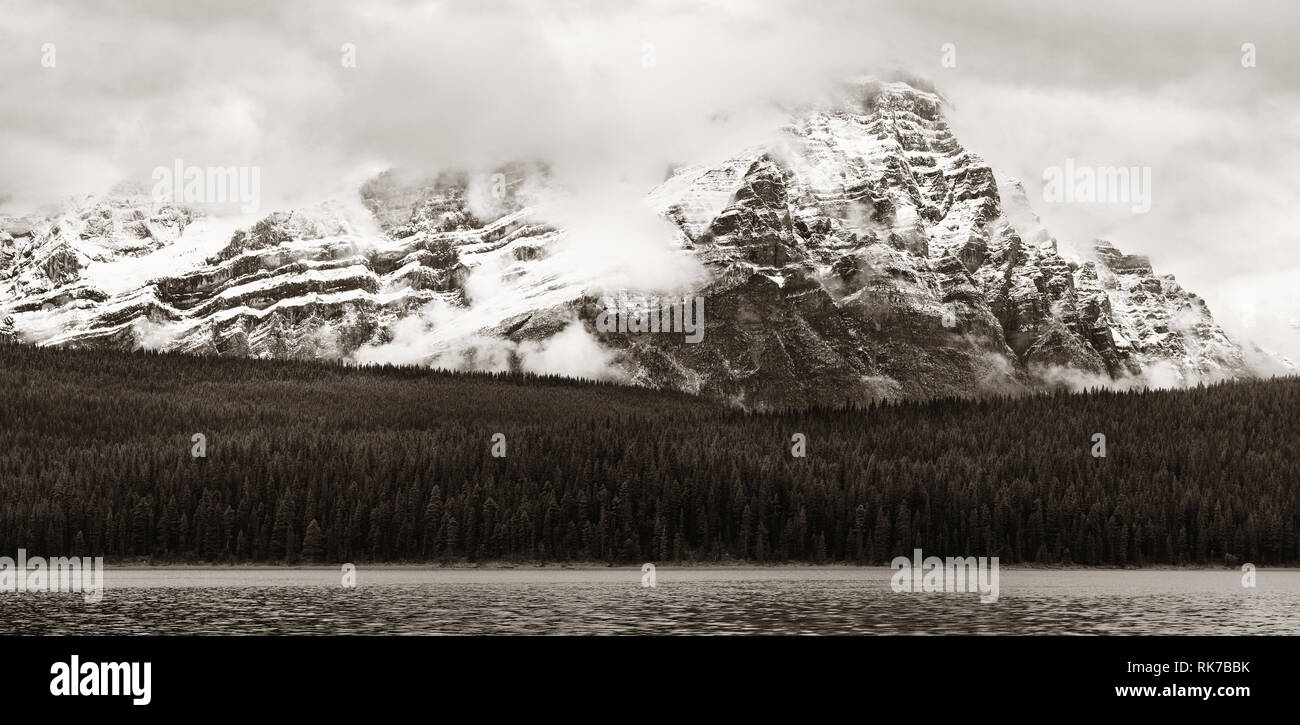 Mountains and forest panorama at Bow Lake with fog in Banff National ...