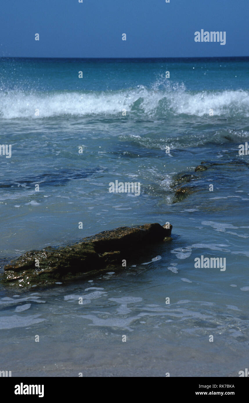 Mt william national park hi-res stock photography and images - Alamy
