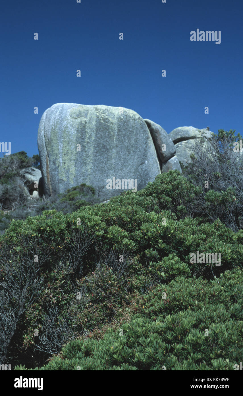 Australian native scenes hi-res stock photography and images - Alamy
