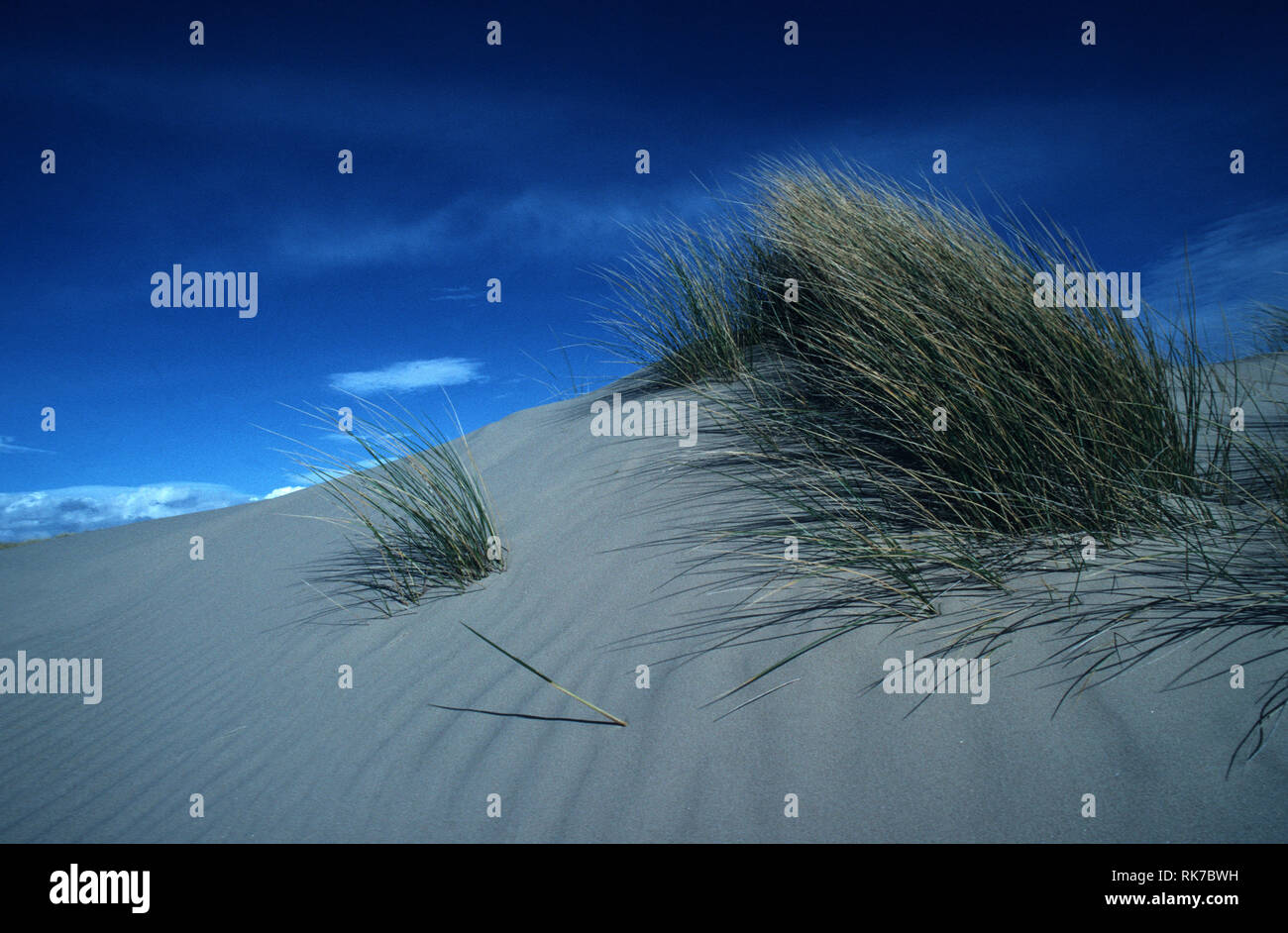 Sand dunes on Tasmania's east coast. Much of Tasmania's pristine ...