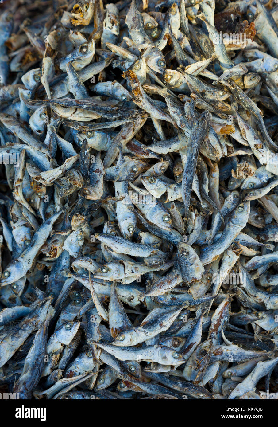 Dried fish. Phang Nga Bay, Andaman Sea, Thailand, Asia Stock Photo - Alamy