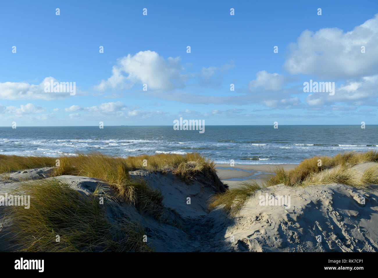 View between two dunes, grown with Beach Grass, on a North Sea beach at ...