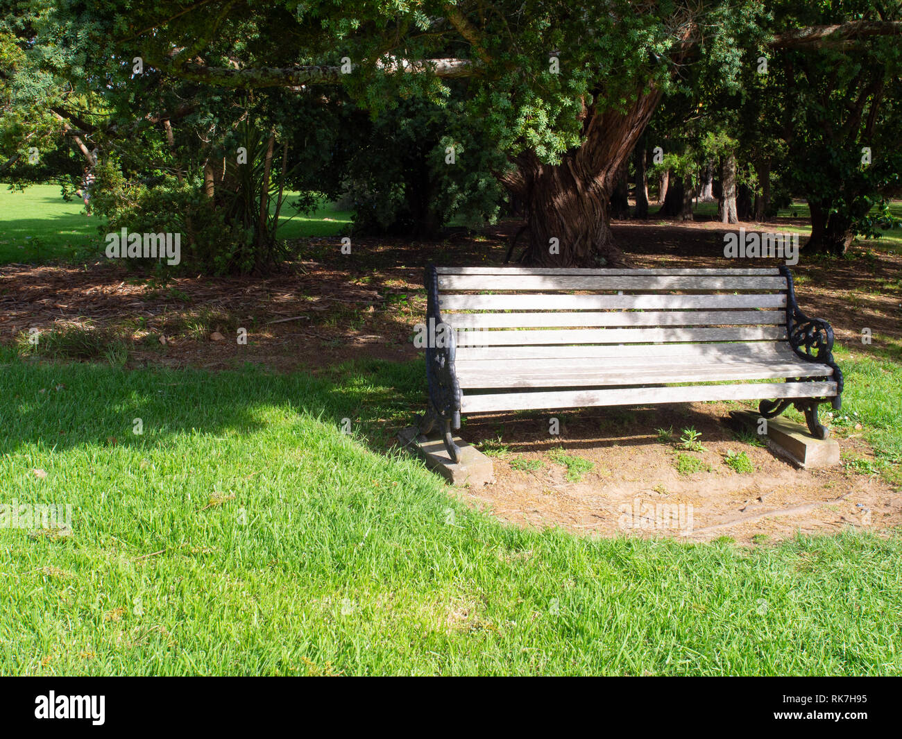 Park Bench Seat Under A Tree Stock Photo - Alamy