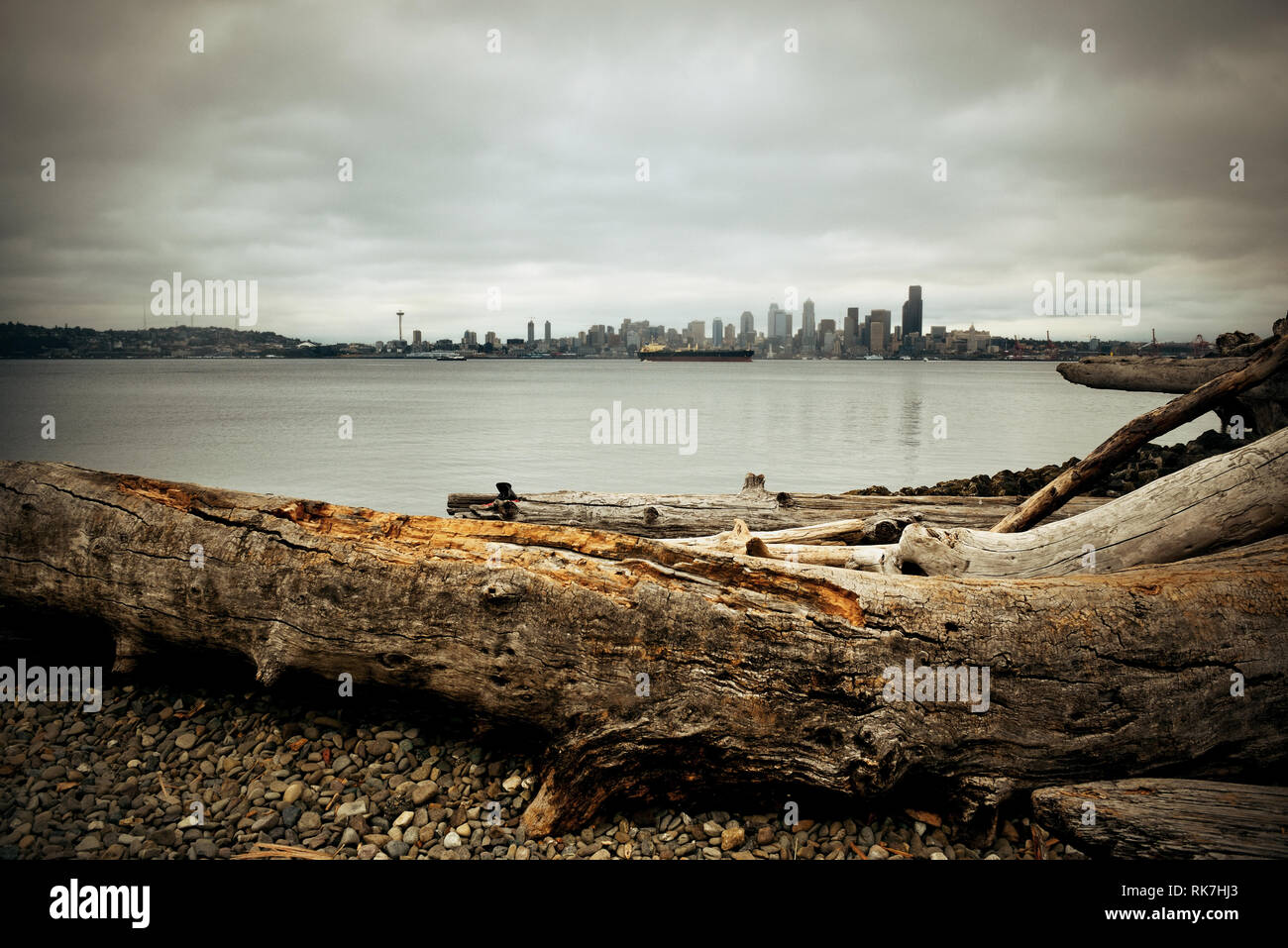 Seattle city skyline view over sea with urban architecture and tree log ...