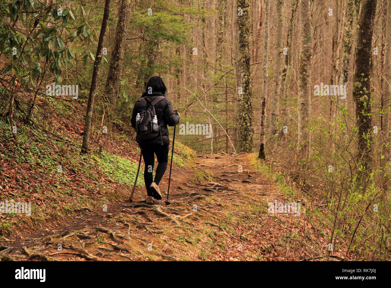The scenic Cucumber Gap Trail is a moderate to strenuous hiking path ...