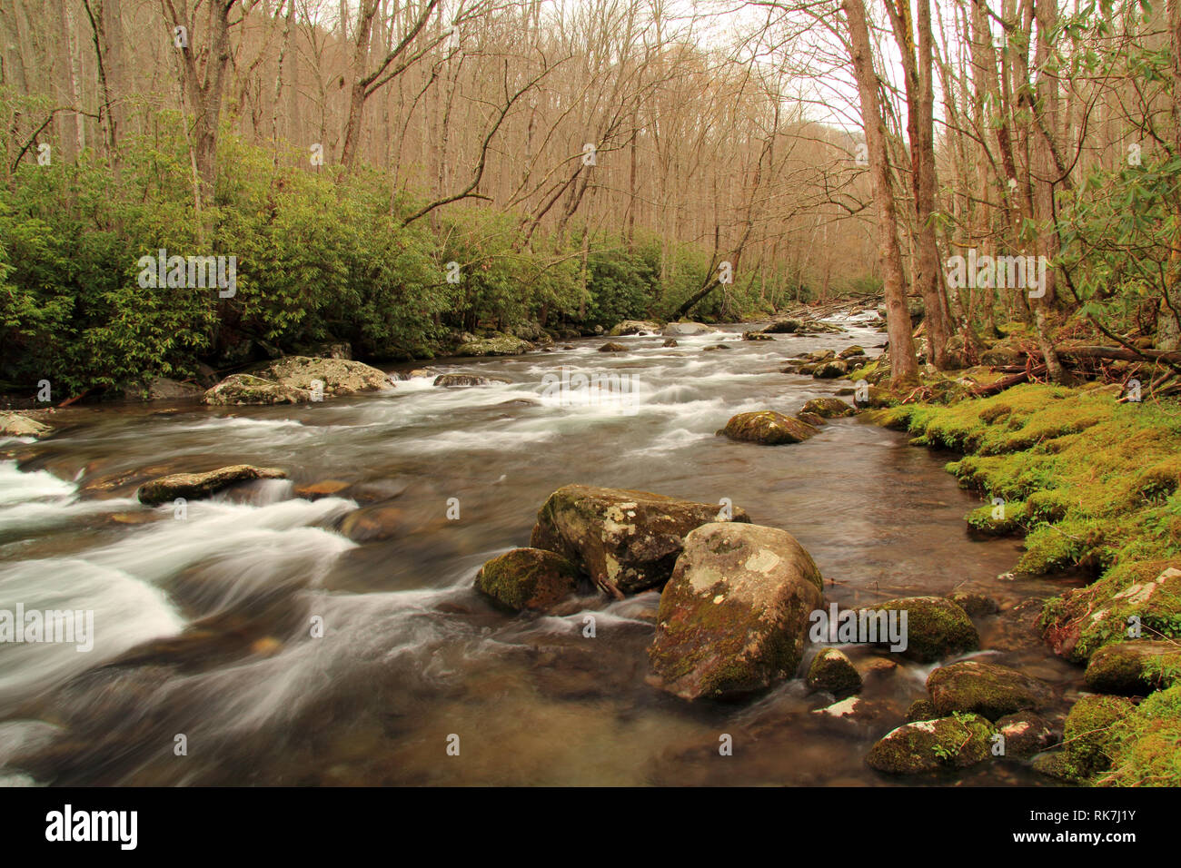 Partially located in Great Smokey Mountains National Park, the Little ...