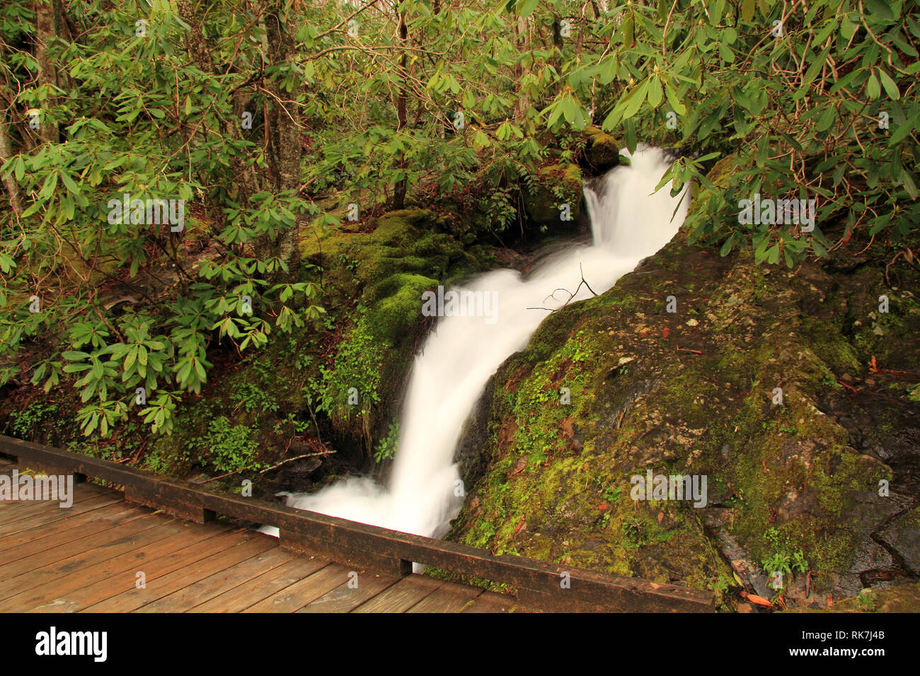 The Little River Trail offers an easy and scenery filled hike as it ...