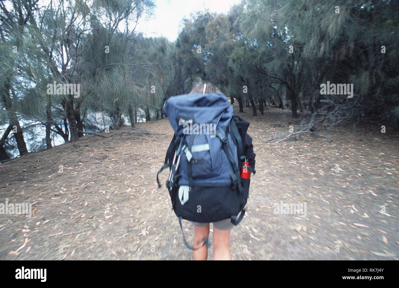 A guide leads the way on the Maria Island Walk. The latest trend on the ...