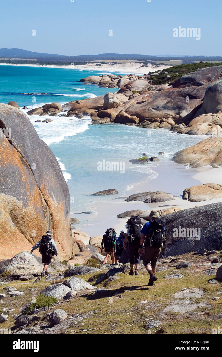 Guests on Cradle Mountain Huts' Bay of Fires walk wander down through ...