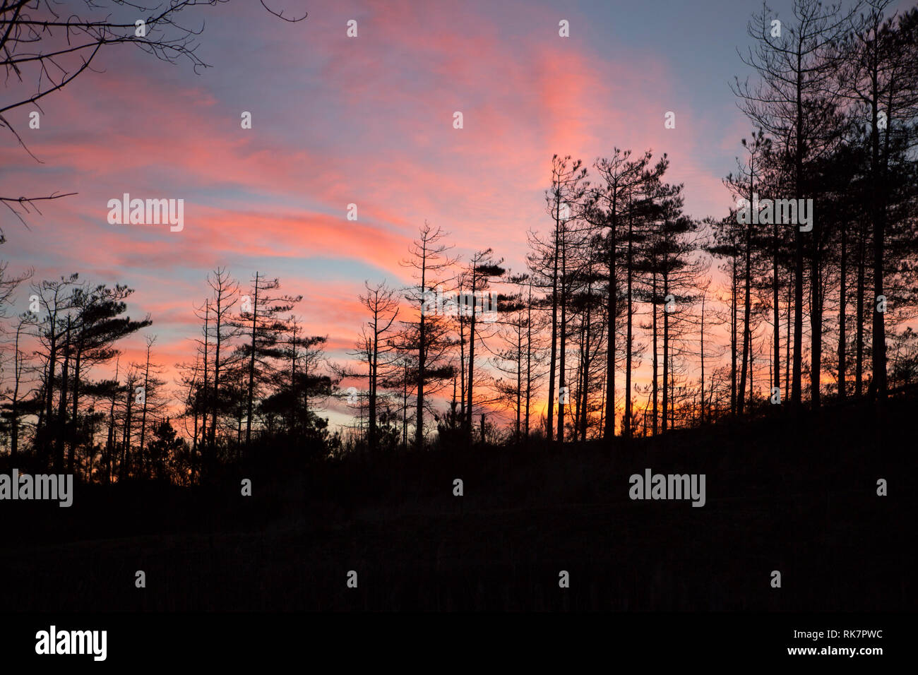 Evening_sunset hi-res stock photography and images - Alamy