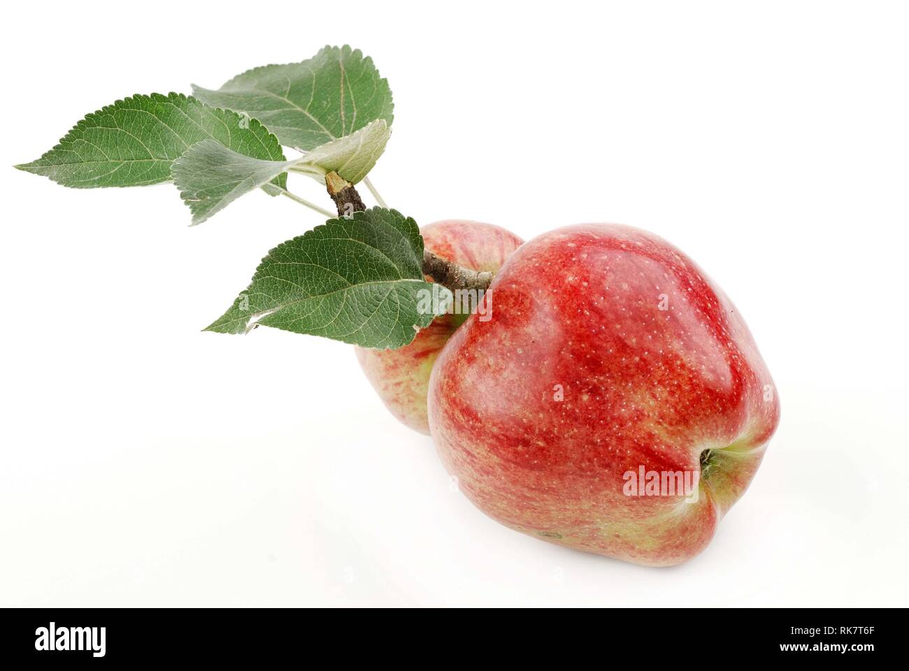 Stark delicious apple hi-res stock photography and images - Alamy