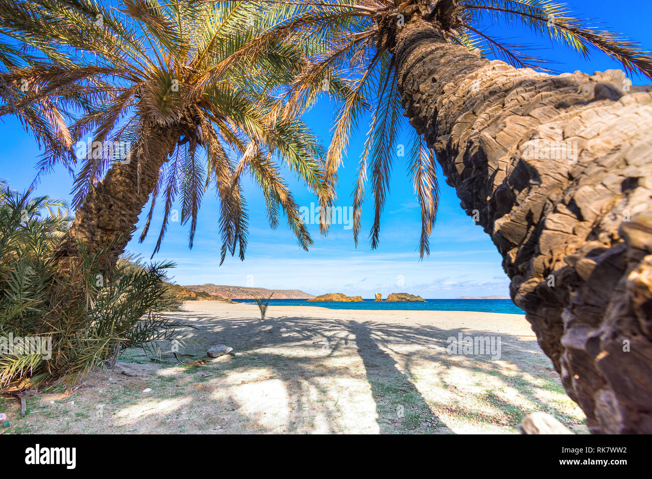 Scenic landscape of palm trees, turquoise water and tropical beach, Vai ...