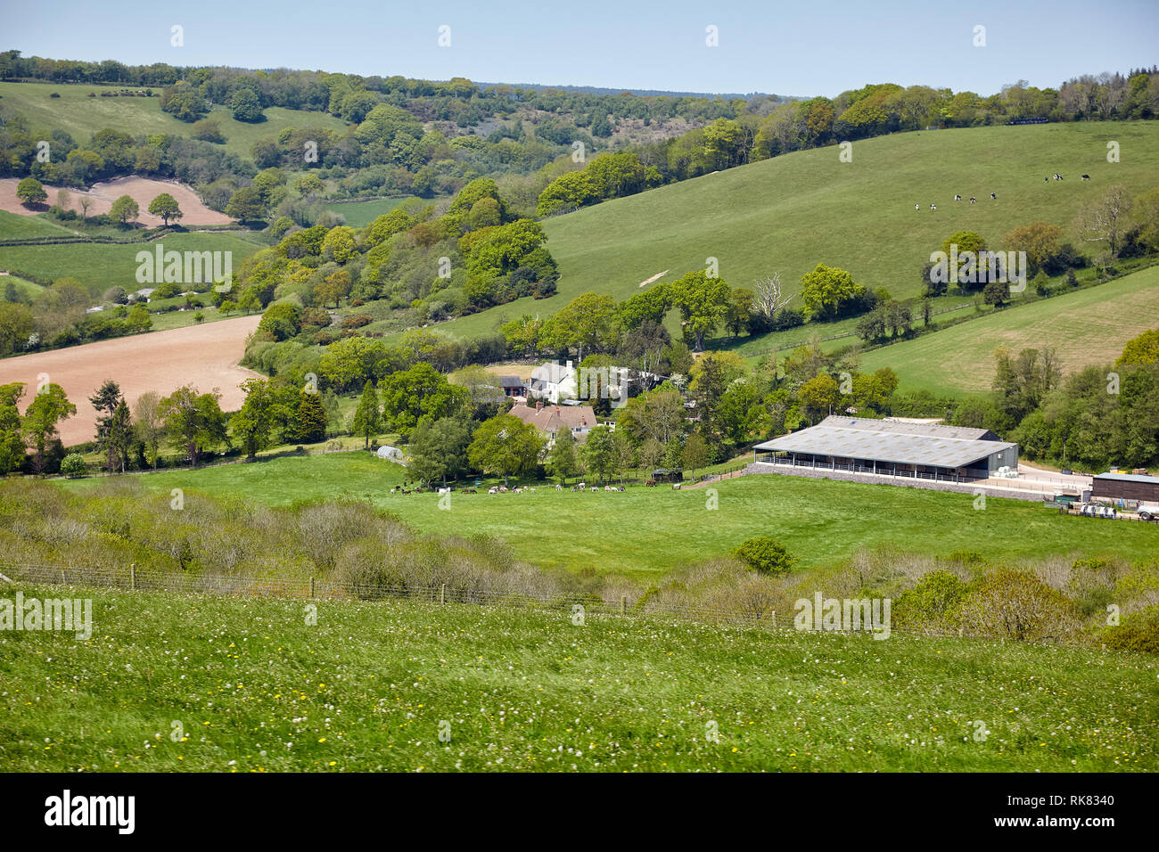 Devonshire england hi-res stock photography and images - Alamy