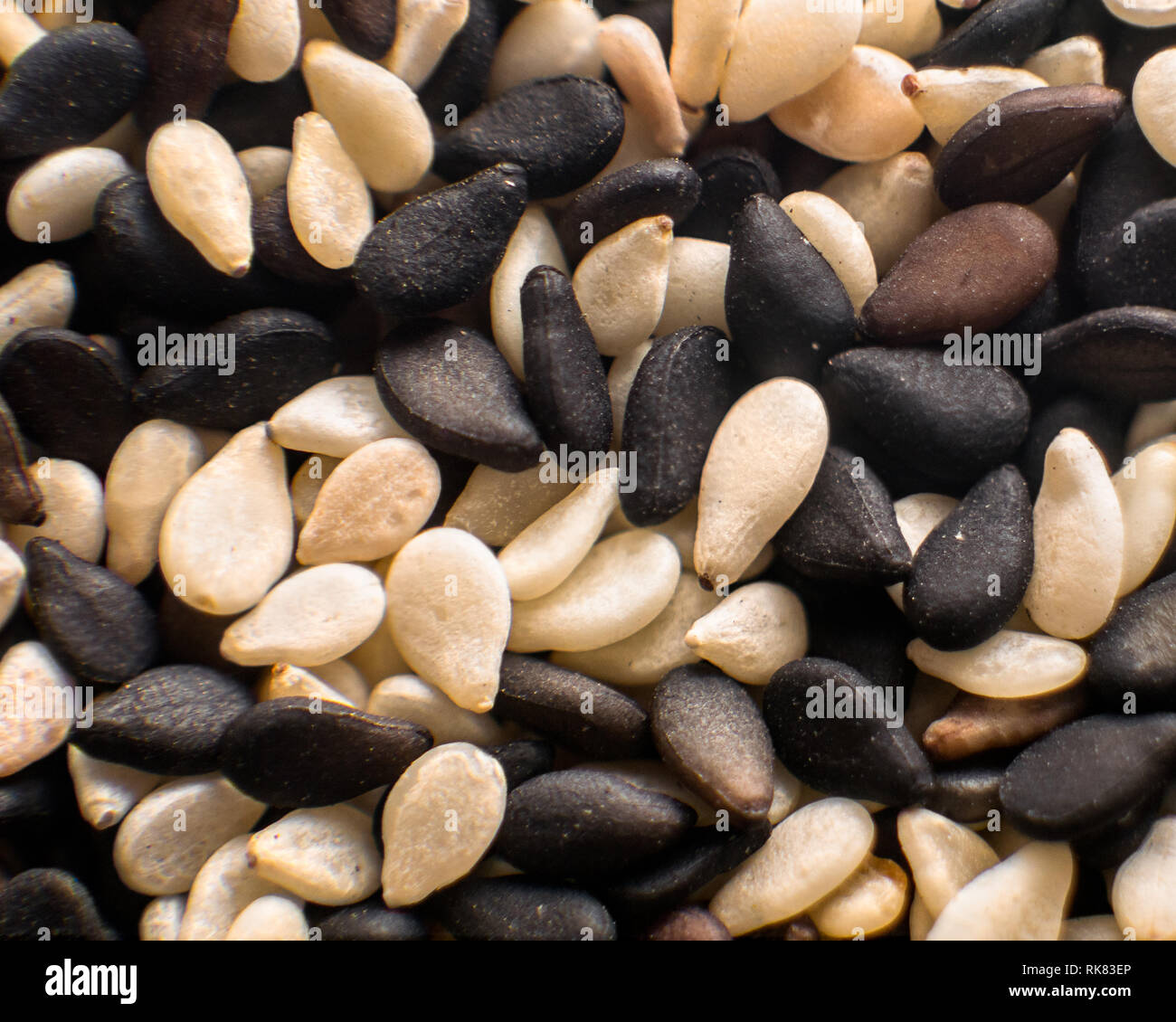 Sesame harvest hi-res stock photography and images - Alamy