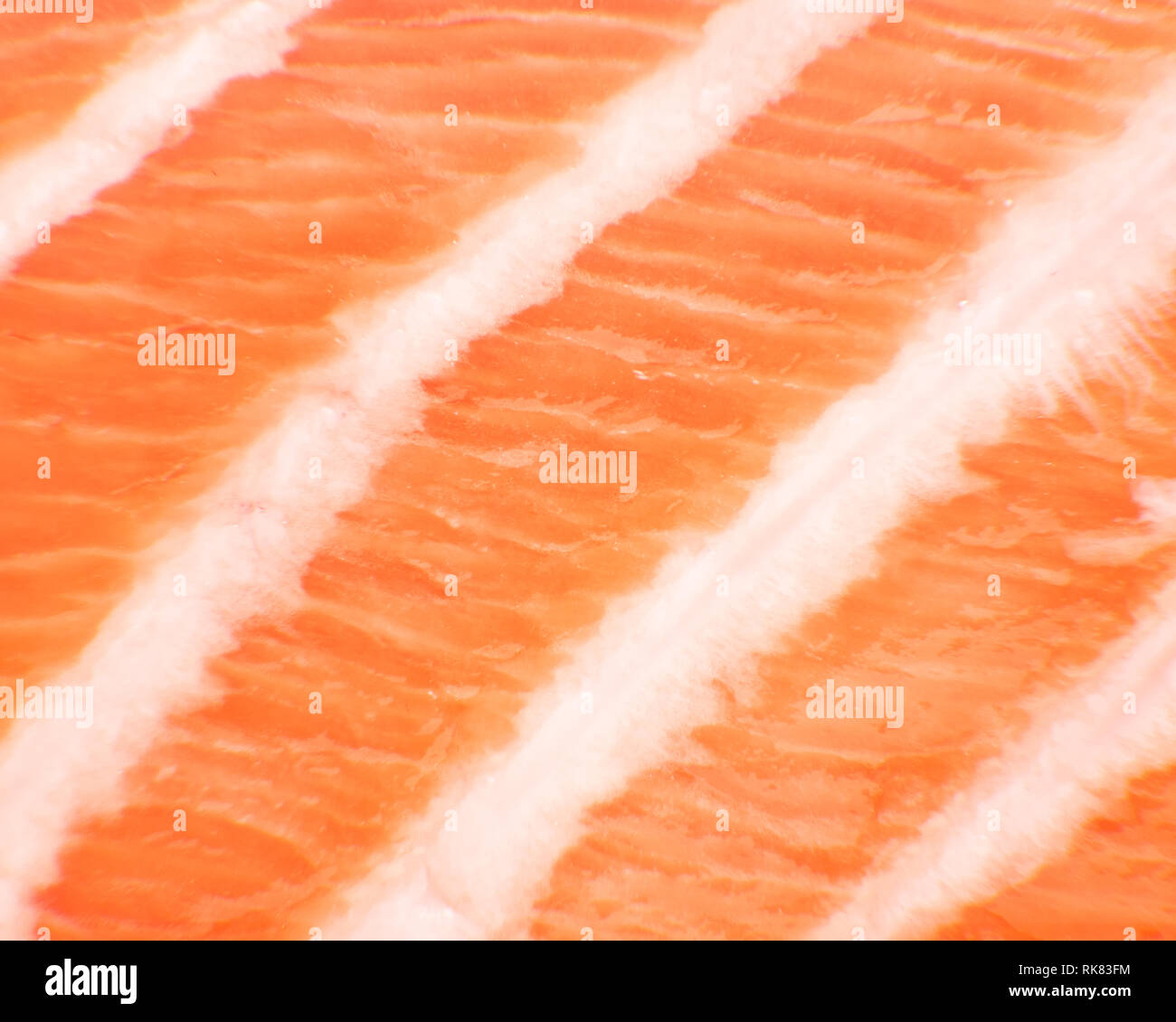 Macro seafood hi-res stock photography and images - Alamy