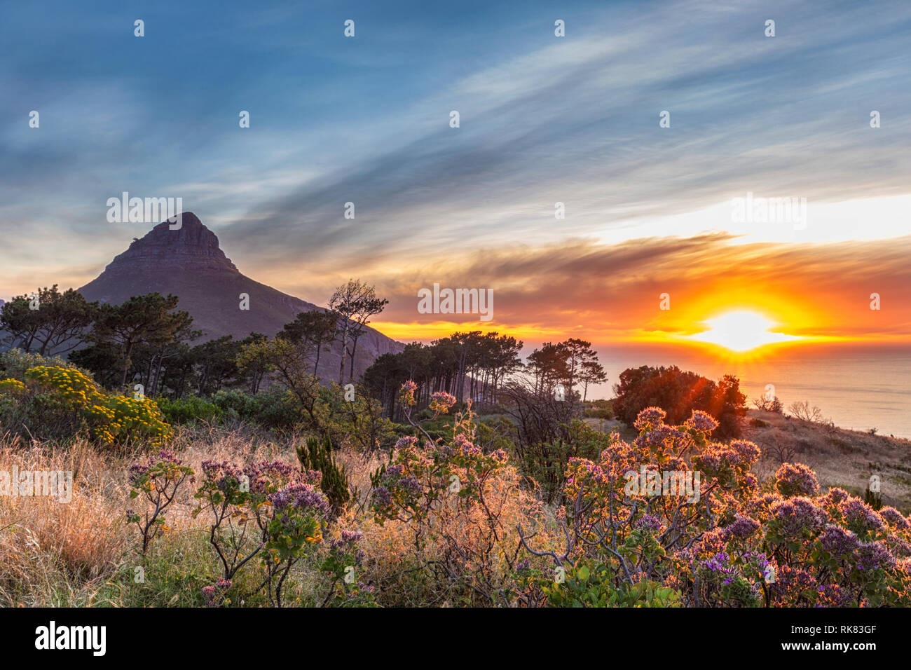 View from signal hill hi-res stock photography and images - Alamy