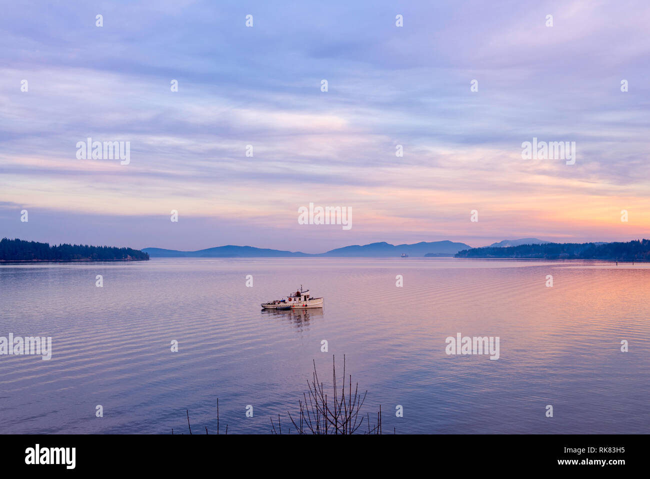 Coast Salish High Resolution Stock Photography and Images - Alamy