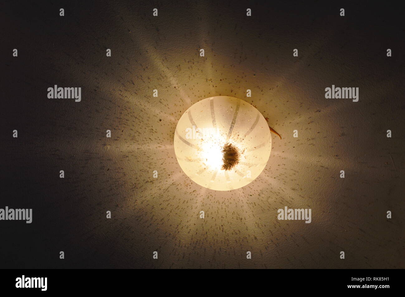 insect swarm around ceiling lamp on home terrace Stock Photo - Alamy