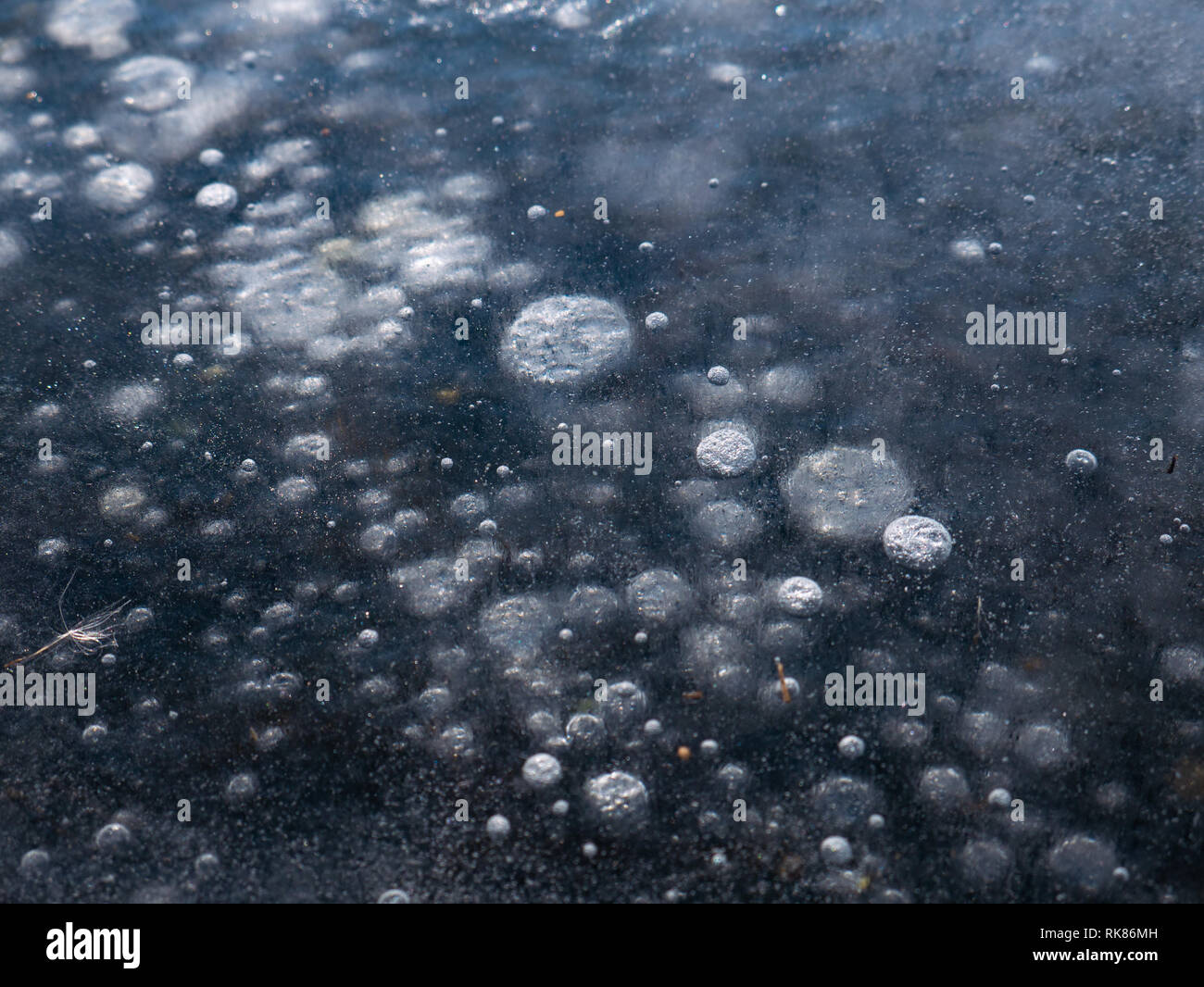 Trapped methane bubbles in lake hi-res stock photography and images - Alamy