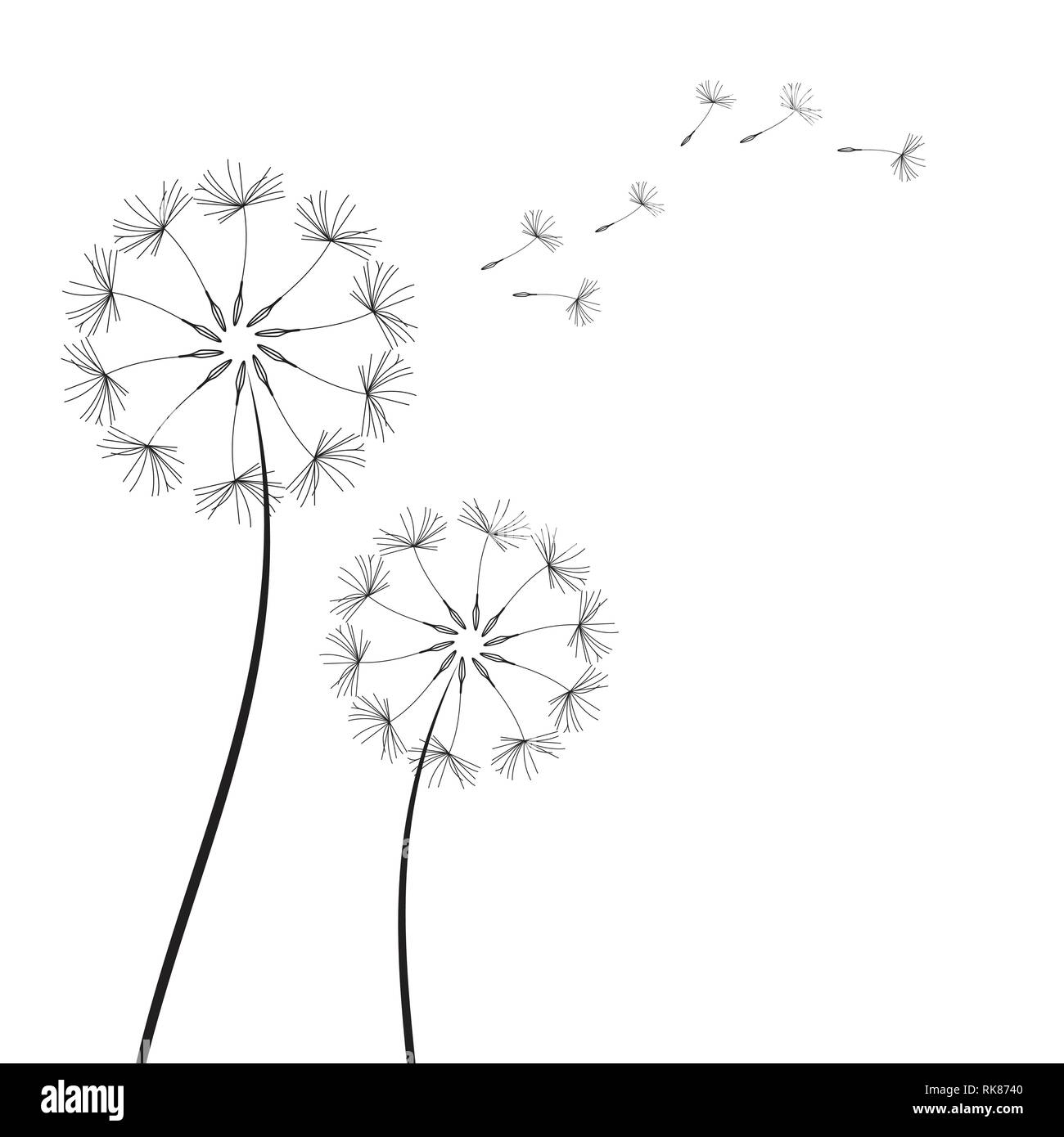 Abstract Dandelions dandelion with flying seeds – stock vector Stock ...