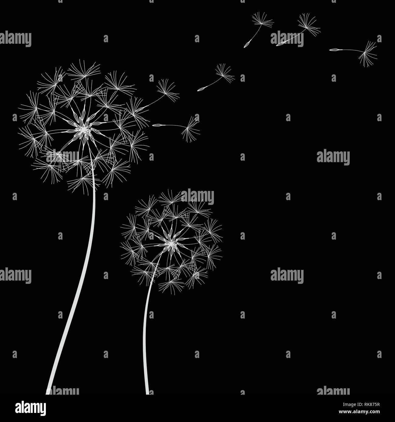Abstract Dandelions dandelion with flying seeds – stock vector Stock ...