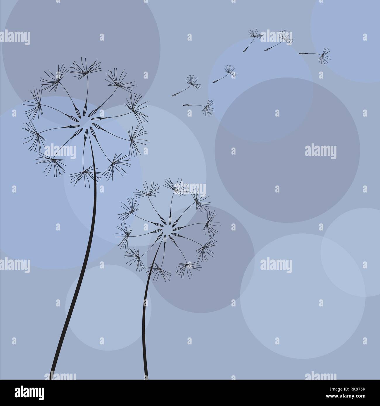 Abstract Dandelions dandelion with flying seeds stock vector Stock ...