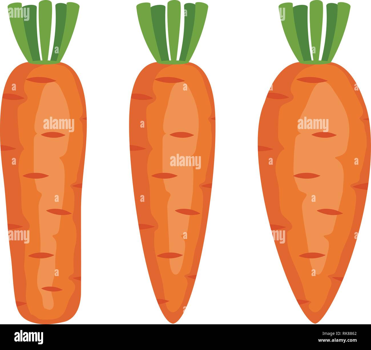 Are Carrots Good For A Pointer