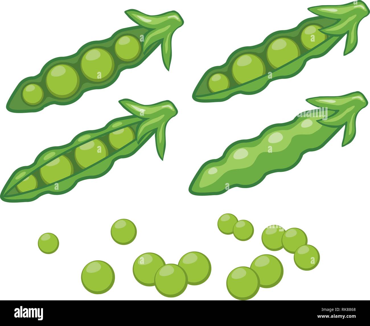 vector pods of green peas and scattered pea beans. healthy organic food ...