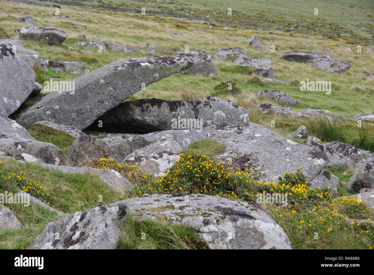 Littaford Tors, Cornubian Granite Tor on a Grey Day. By Wistmans Wood ...