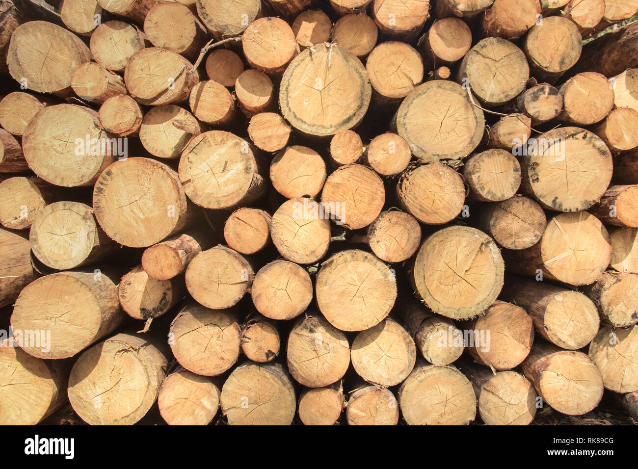 Fuel wood hi-res stock photography and images - Alamy