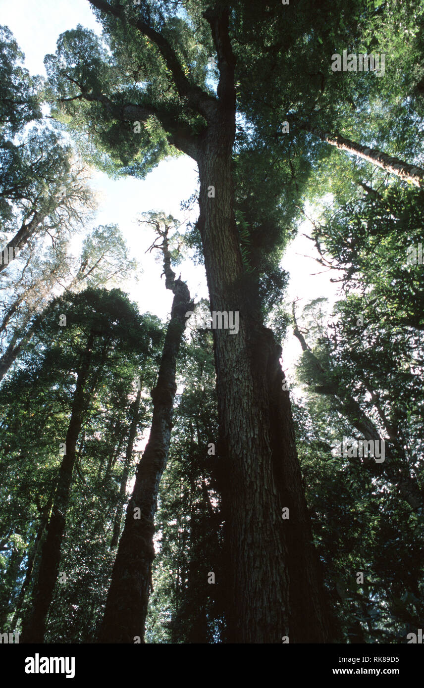 Tarki hi-res stock photography and images - Alamy