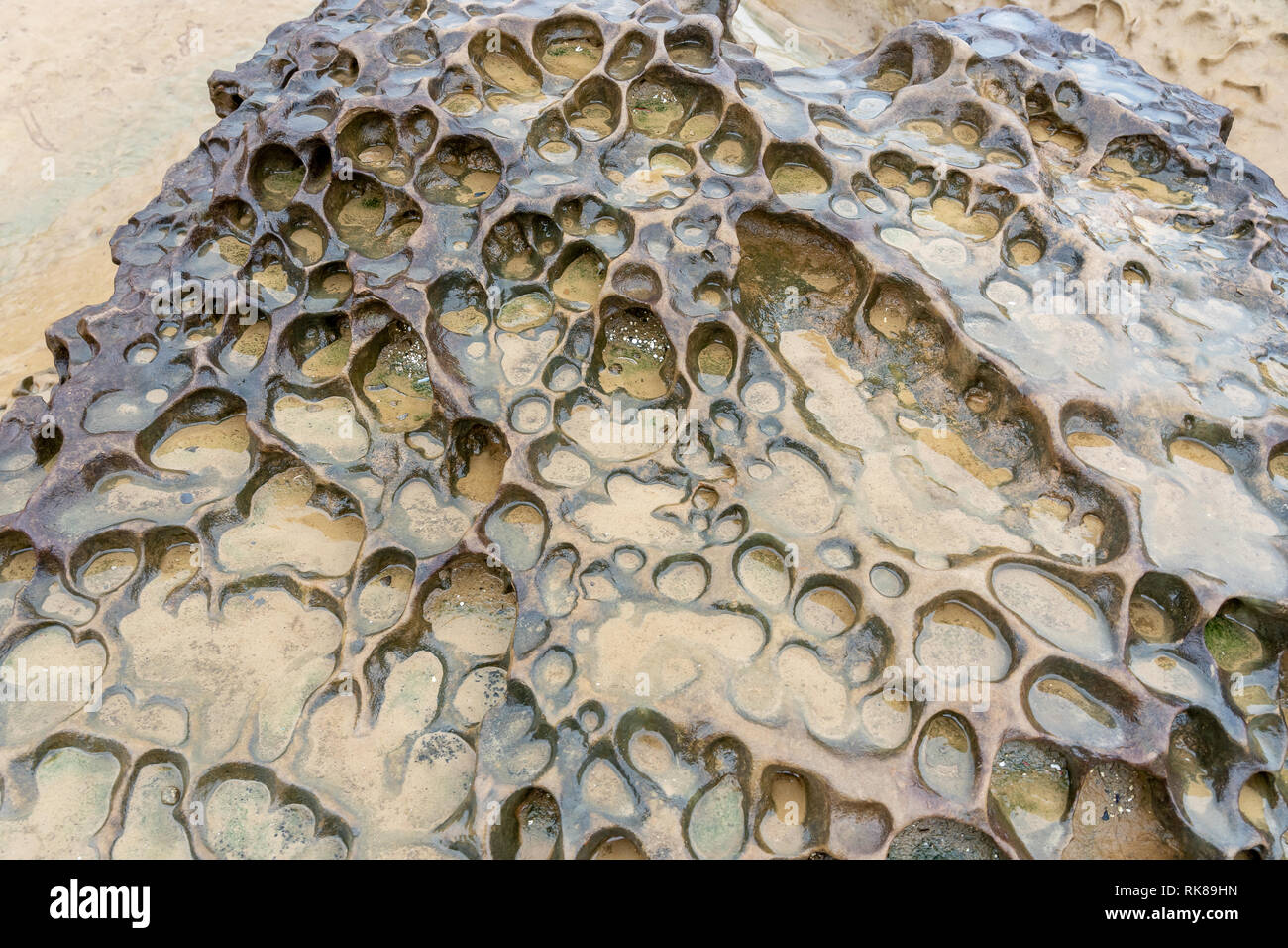 Honeycomb Weathering rock at Yehliu Geopark in Taiwan Stock Photo - Alamy