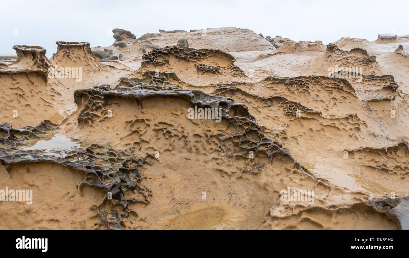Honeycomb Weathering rock at Yehliu Geopark in Taiwan Stock Photo - Alamy