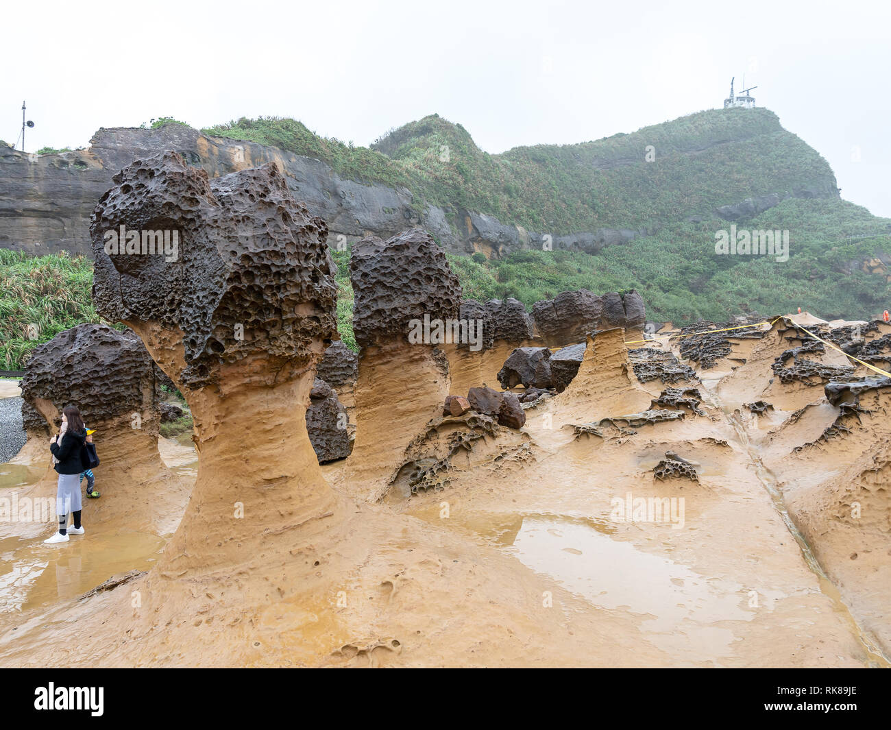 Mushroom Rock at Yehliu Geopark in Taiwan Stock Photo - Alamy