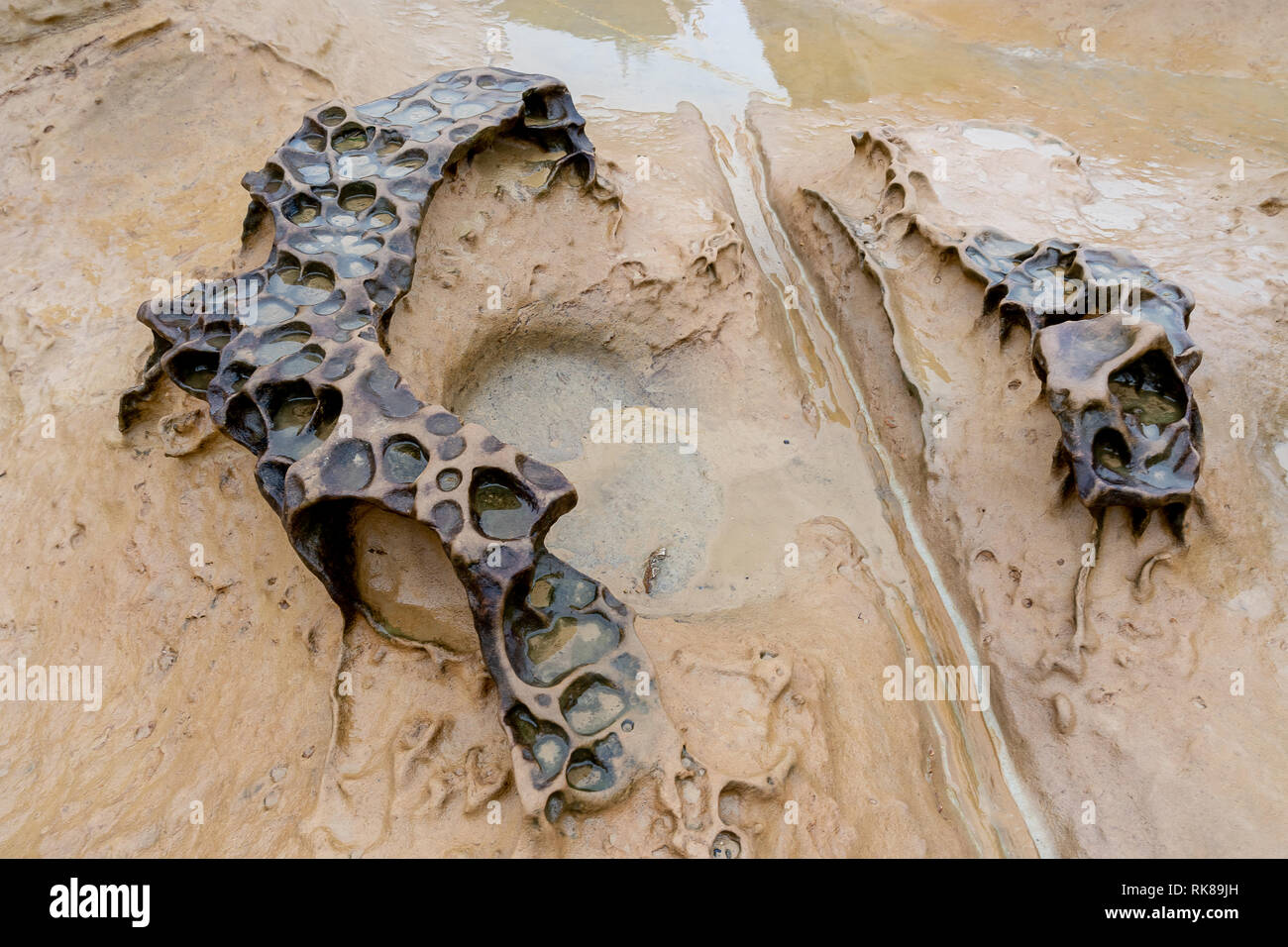 Honeycomb Weathering rock at Yehliu Geopark in Taiwan Stock Photo - Alamy
