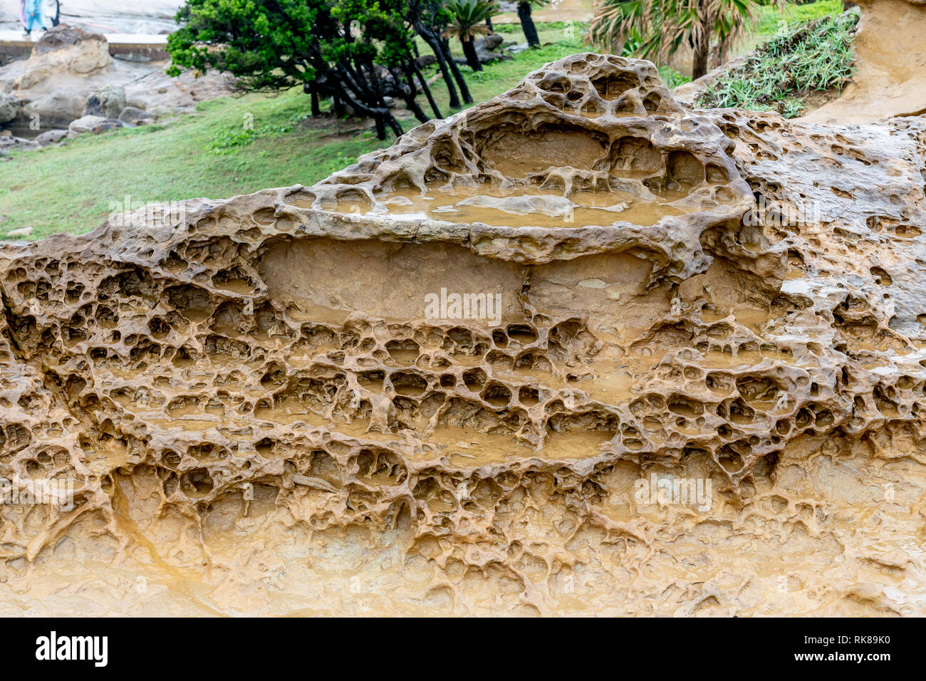 Yehliu Natural Landscape at Yehliu Geopark in Taiwan. Yehliu Geopark is ...