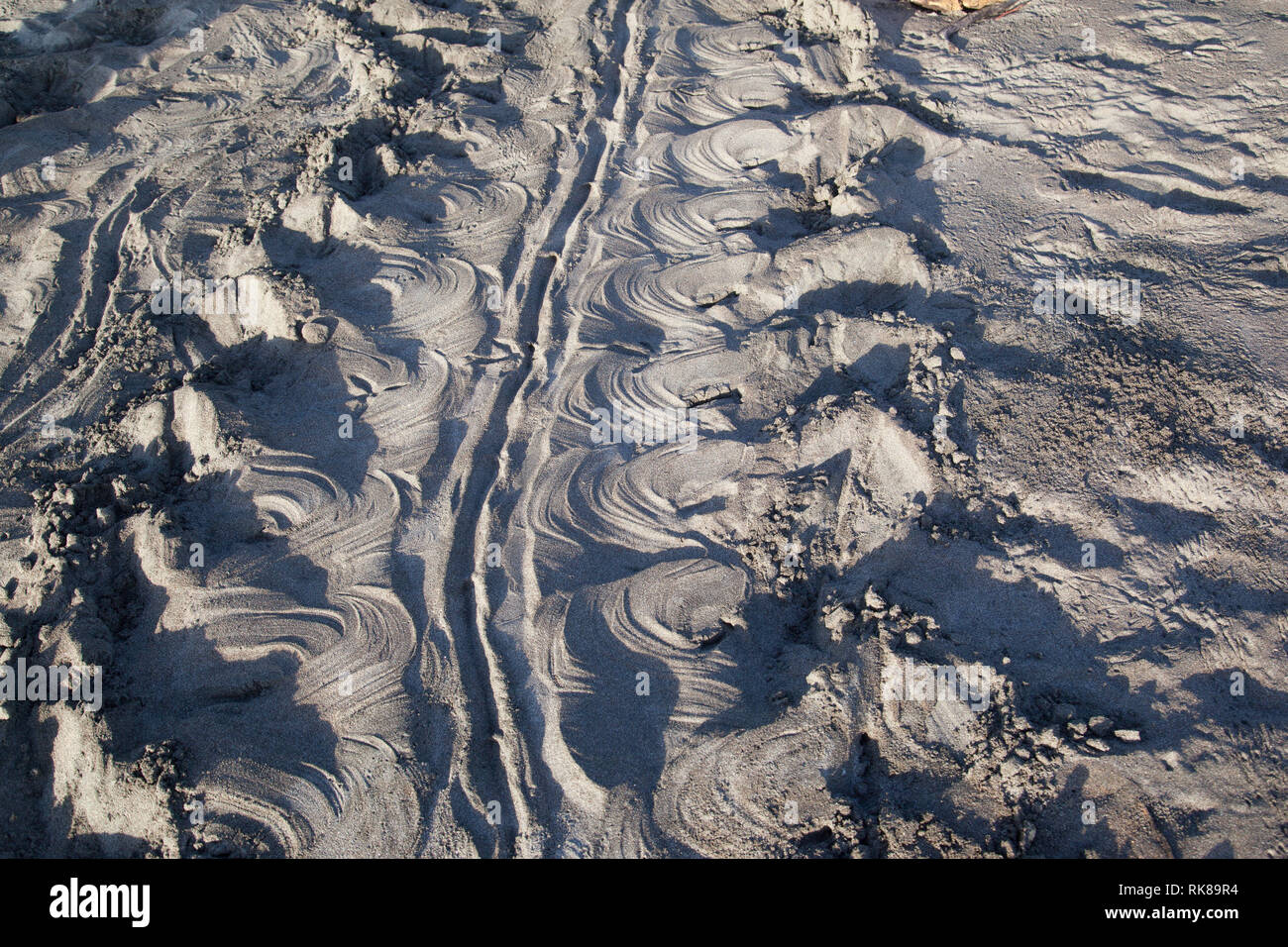 Sea turtle tracks in sand hi-res stock photography and images - Alamy